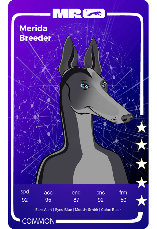 Muzzle Run | Greyhound NFT Racing